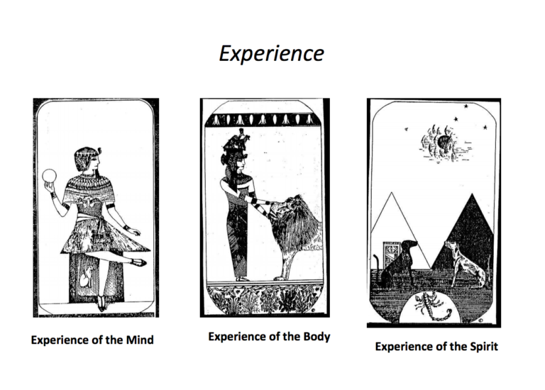 22 Archetypes - Aquarius Academy